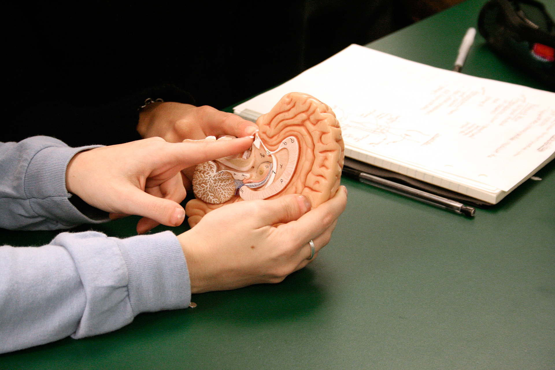 Physical Therapy | NYU Steinhardt