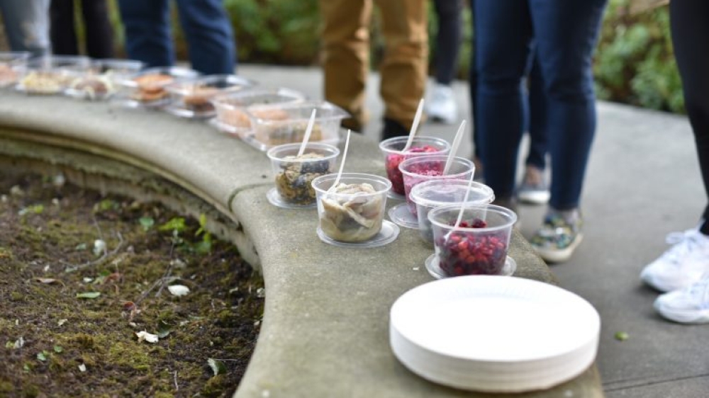 Food Studies | NYU Steinhardt