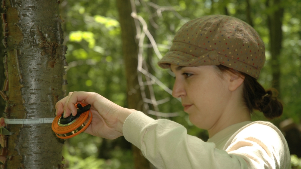 Environmental Conservation Education | NYU Steinhardt