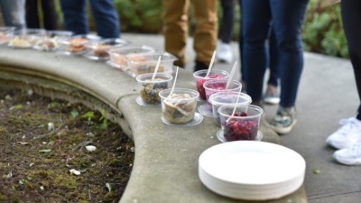 Food Studies | NYU Steinhardt