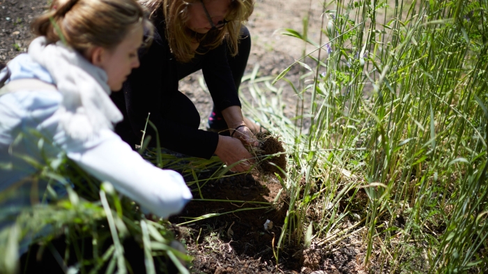 Education Programs and Degrees | NYU Steinhardt