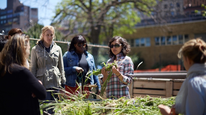 Krishnendu Ray | NYU Steinhardt