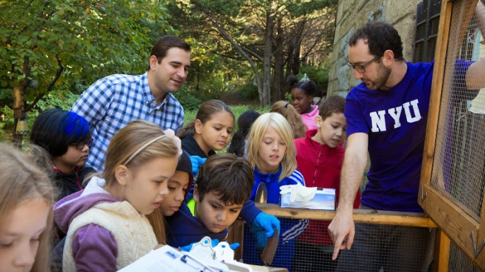 Environmental Conservation Education | NYU Steinhardt
