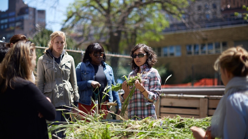 Krishnendu Ray | NYU Steinhardt