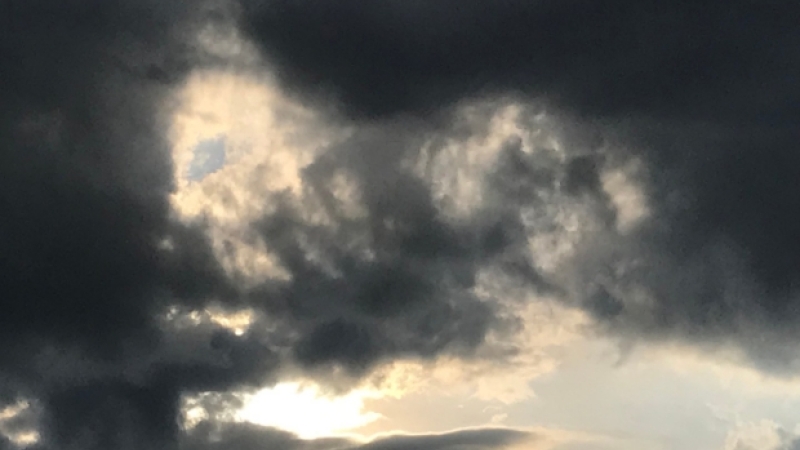 NYU Steinhardt’s 80WSE Art Gallery Presents Two Exhibitions Focused on ...