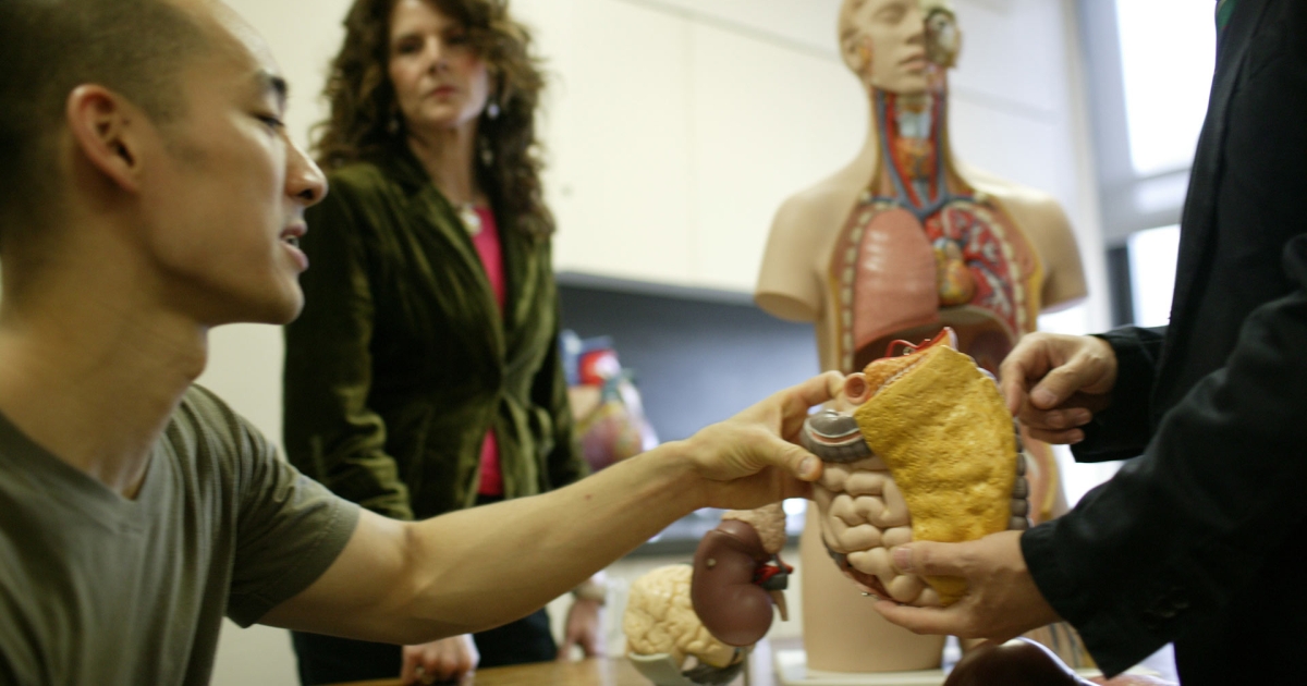 PhD, Nutrition and Dietetics | NYU Steinhardt