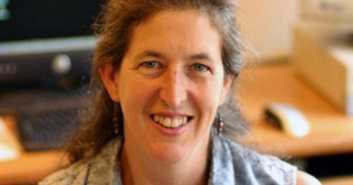 Phyllis Frankl | NYU Steinhardt