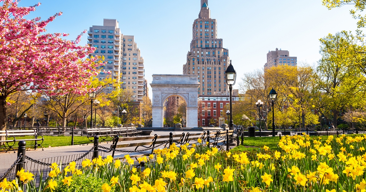 Undergraduate Student Government Grants | NYU Steinhardt