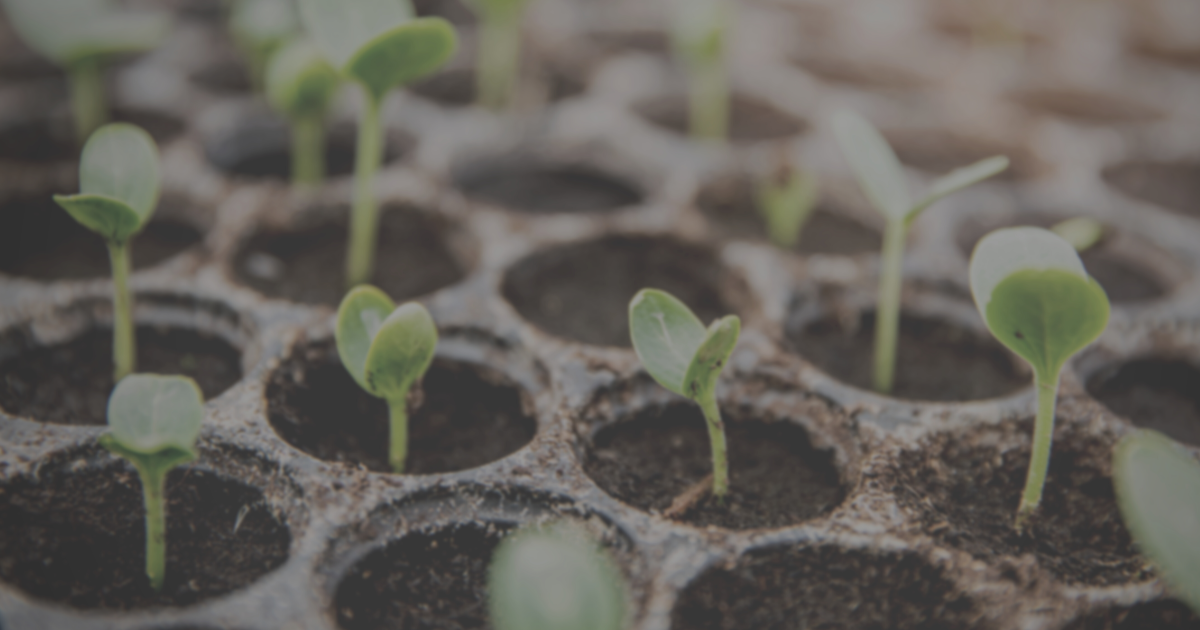 2022-2023 IHDSC Seed Award Recipients | NYU Steinhardt