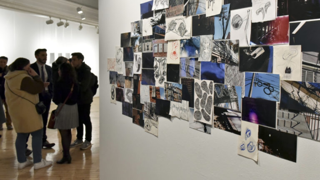 BFA, Studio Art | NYU Steinhardt