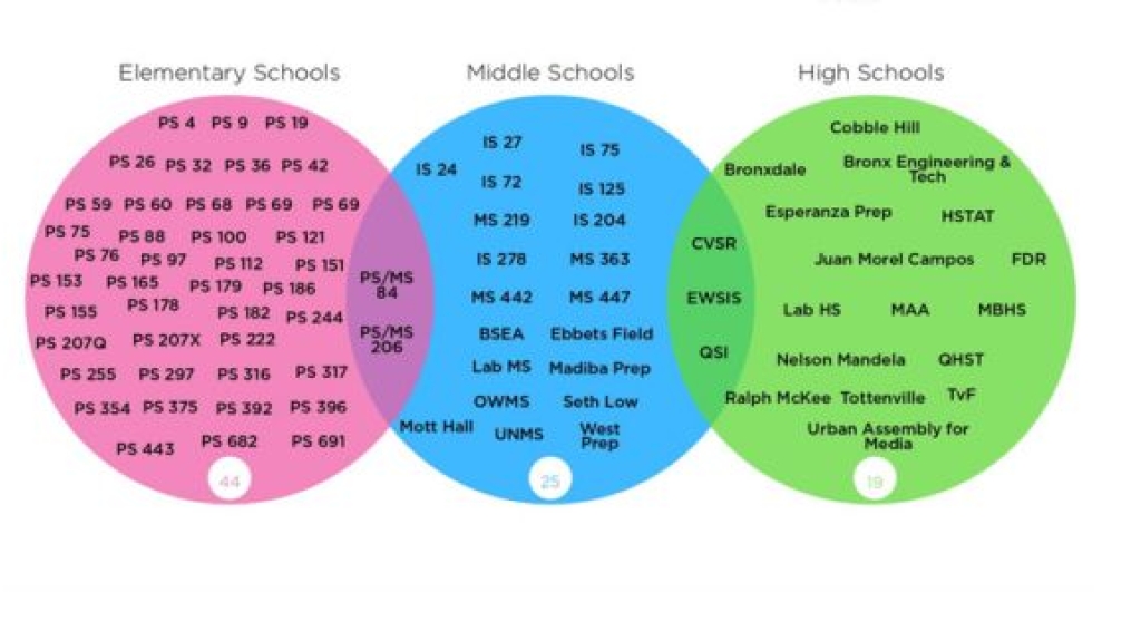 About the NYU Nest Support Project | NYU Steinhardt