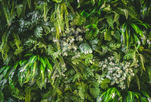 IHDSC Seed Award Program: Call for Applications | NYU Steinhardt