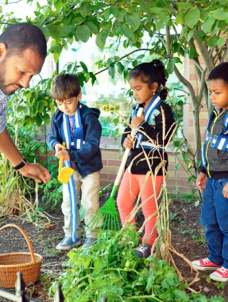 Curriculum | MA, Environmental Conservation Education | NYU Steinhardt
